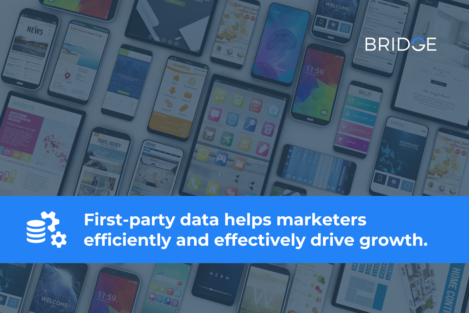 Better Understand Your Customers | Quality Data | BRIDGE